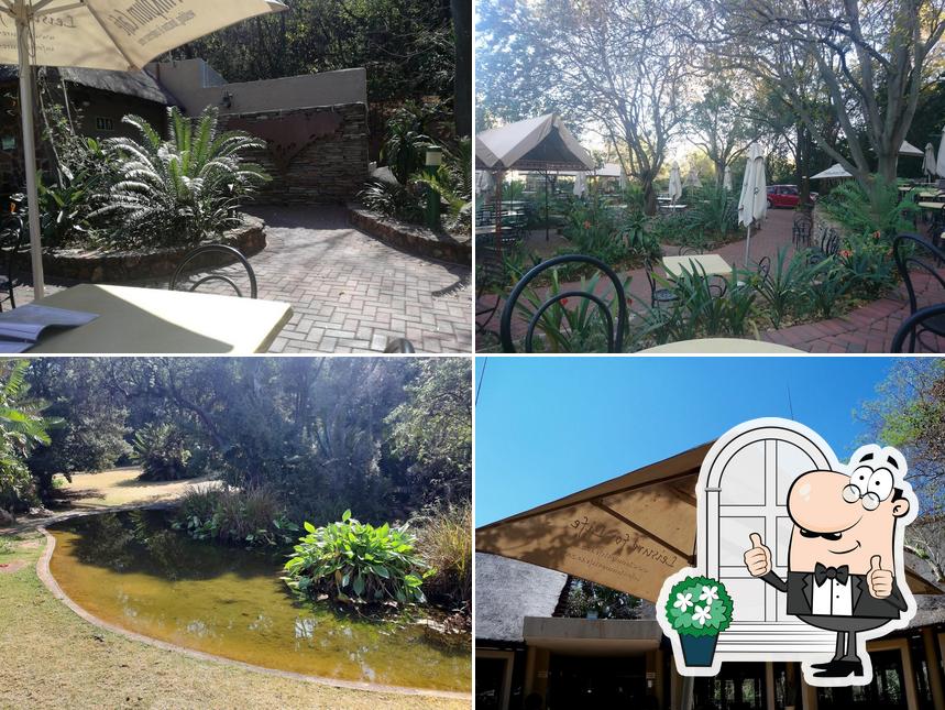 Milkplum Cafe, Pretoria, 2 Cussonia Ave - Restaurant reviews