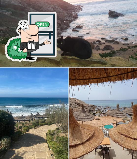 Restaurant café chez Bachir, Tangier - Restaurant reviews