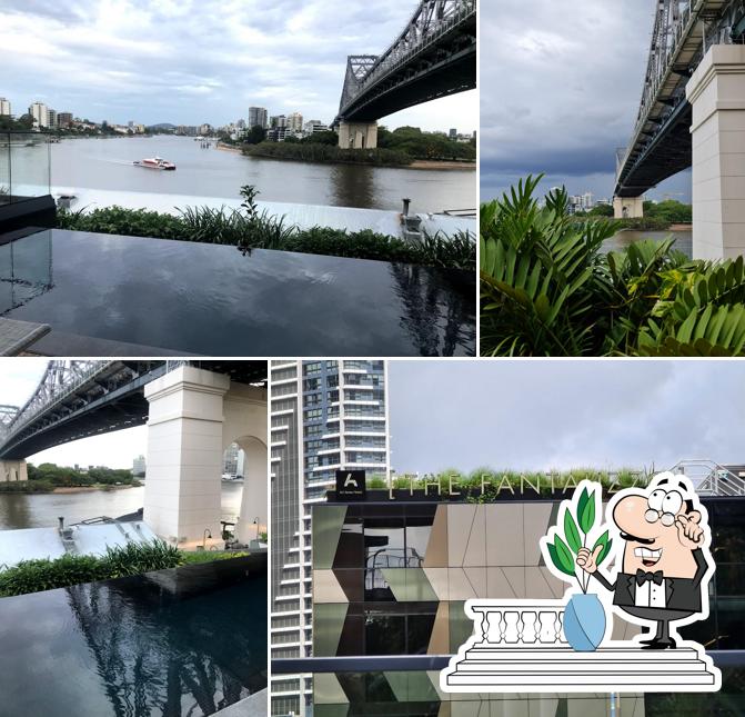 Fiume Rooftop Bar in Brisbane City - Restaurant reviews