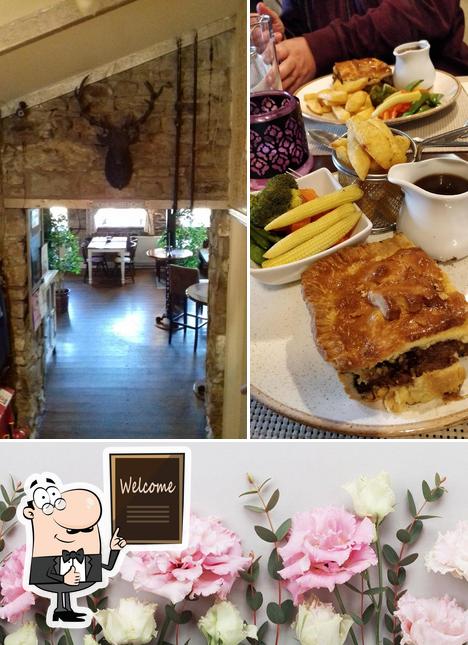 Blenkinsopp Castle Inn - Bistro, Bar, Bed & Breakfast, Gardens in ...