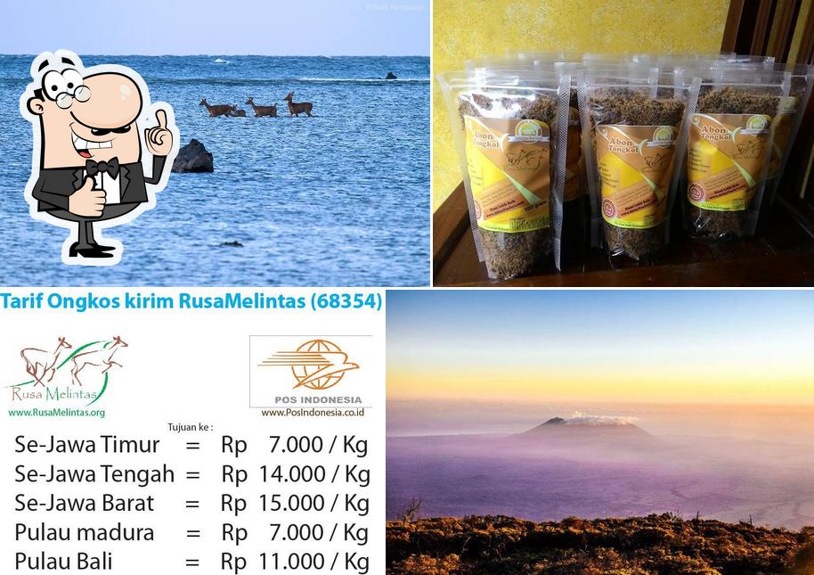 Africa Van Java Food restaurant, Situbondo