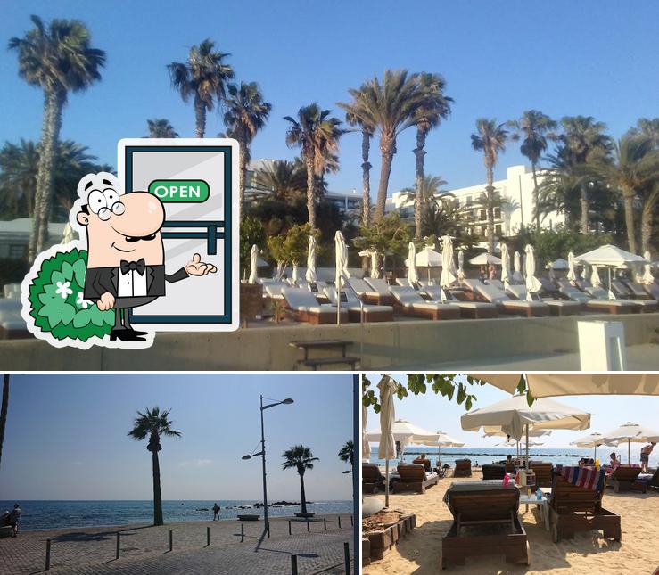 Alykes Beach Bar, Paphos - Restaurant reviews
