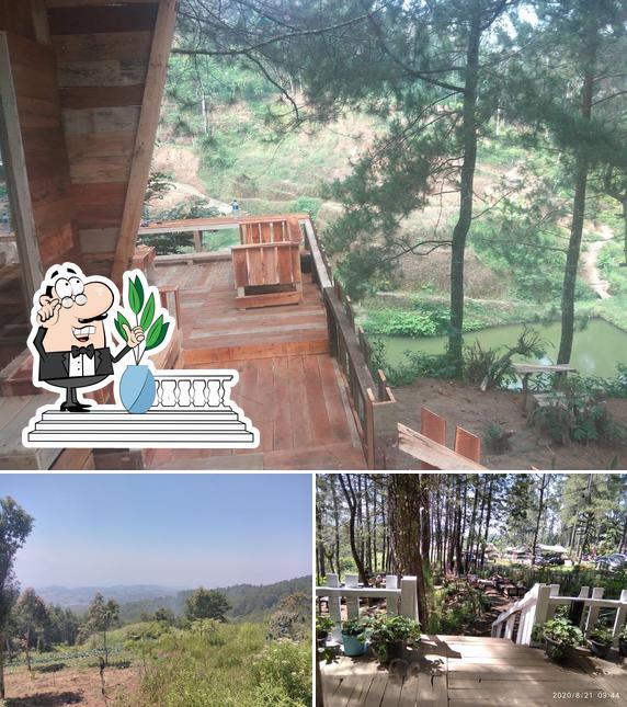Bukit Pinus cafe, Tasikmalaya - Restaurant reviews