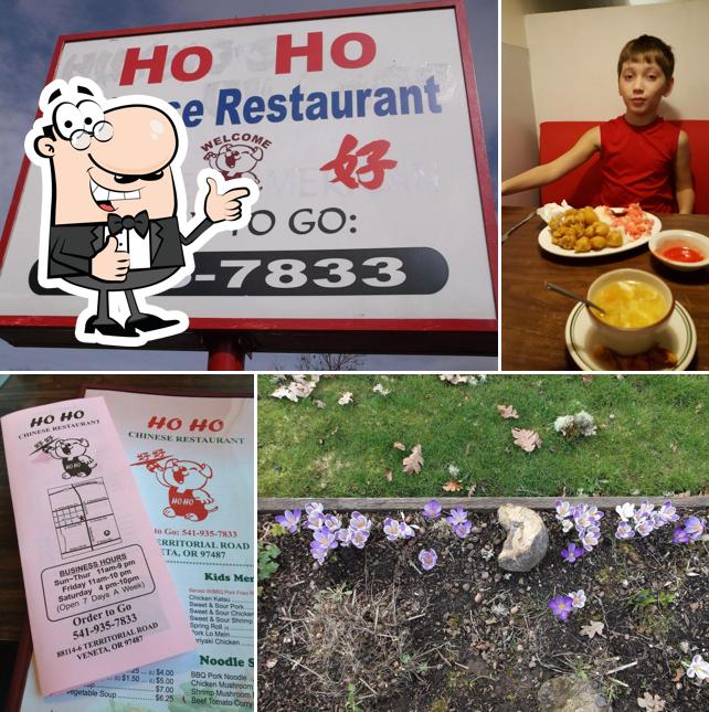 Ho Ho Chinese Restaurant in Veneta - Restaurant menu and reviews
