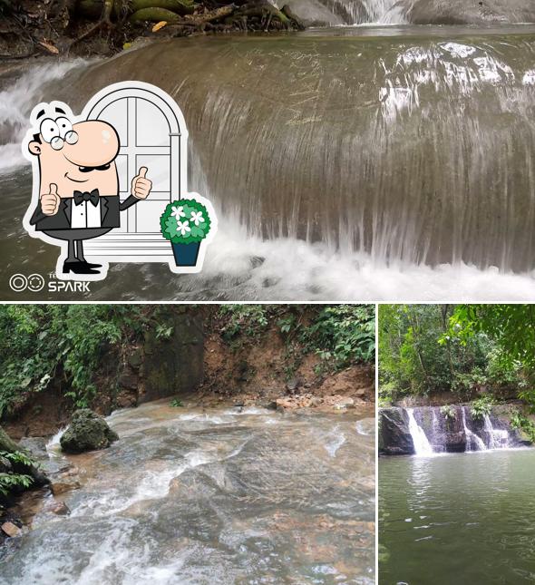 Balneario las cascadas - Menú del restaurante, precios y reseñas