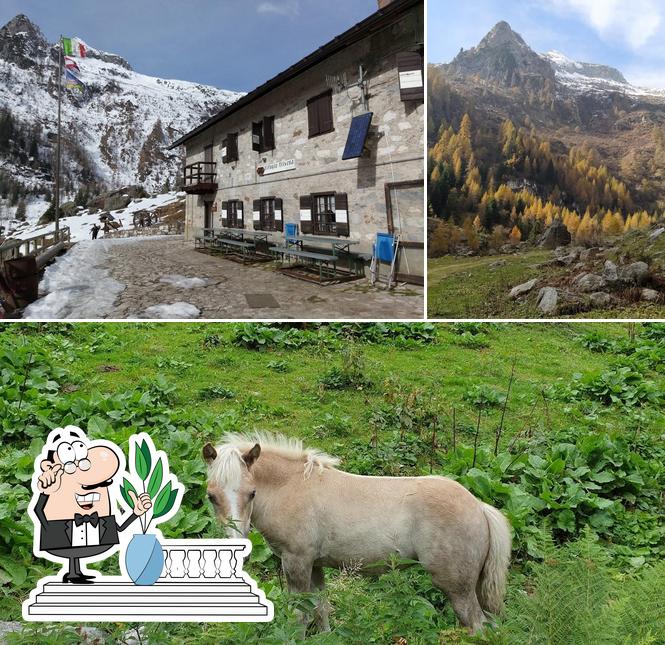 Rifugio Trivena - Restaurant menu, prices and reviews