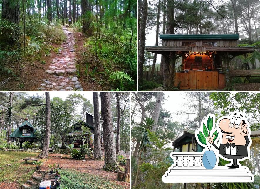 Top 7 restaurants in Sagada, october 2025 - Restaurant Guru