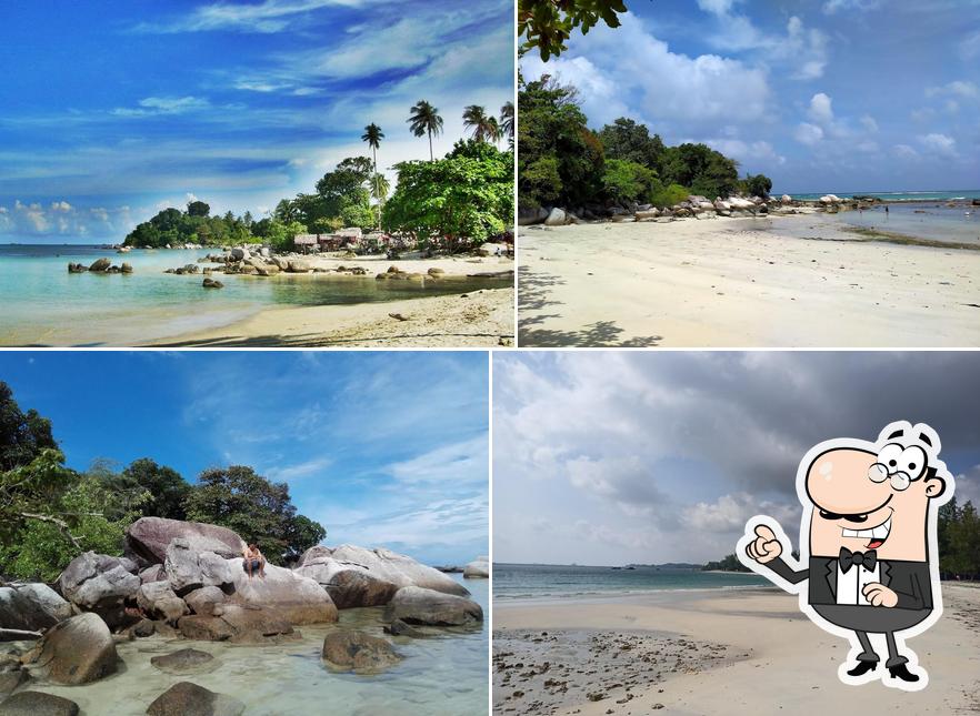 Pantai Trikora 3 cafe, Berakit - Restaurant reviews