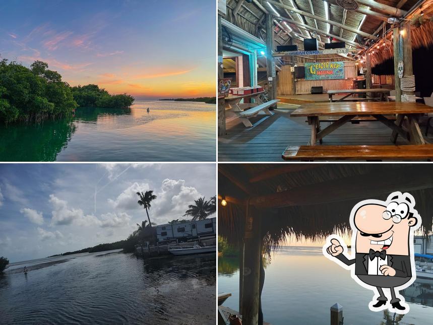 Geiger Key Marina, RV Park & Fish Camp, 5 Geiger Rd in Big Coppitt Key ...