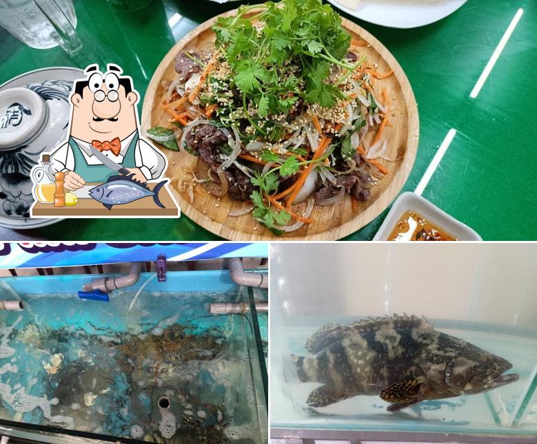 Sunviet Tourist (Xe Hợp Đồng Nha Trang) restaurant, Ninh Hòa ...