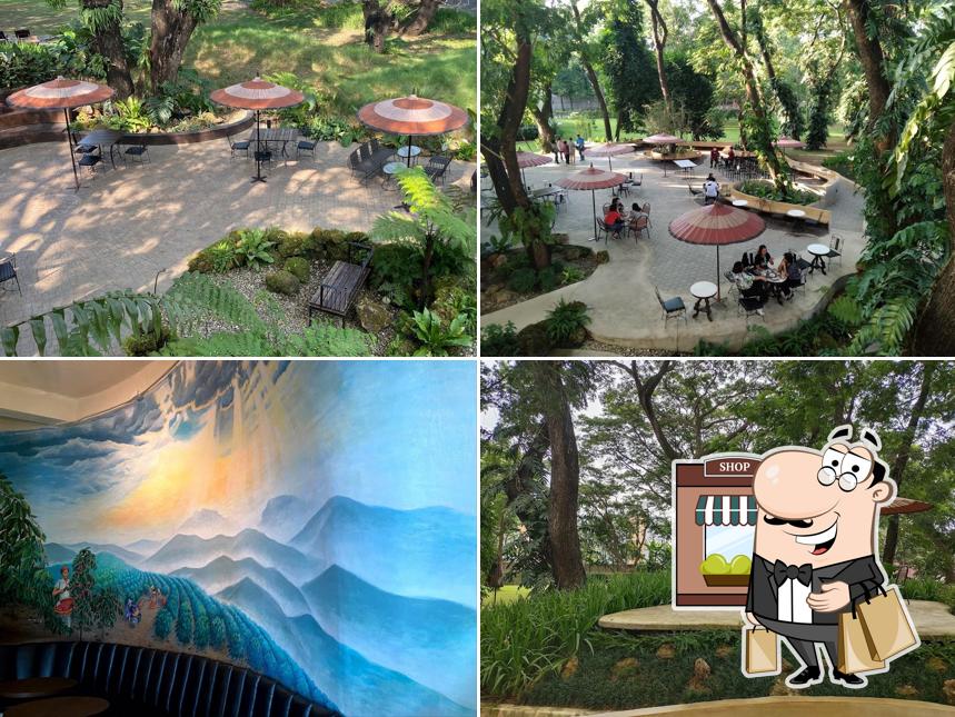 Much Room Cafe, Chiang Mai - Restaurant menu, prices and reviews