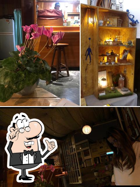 Volare Café, Lince
