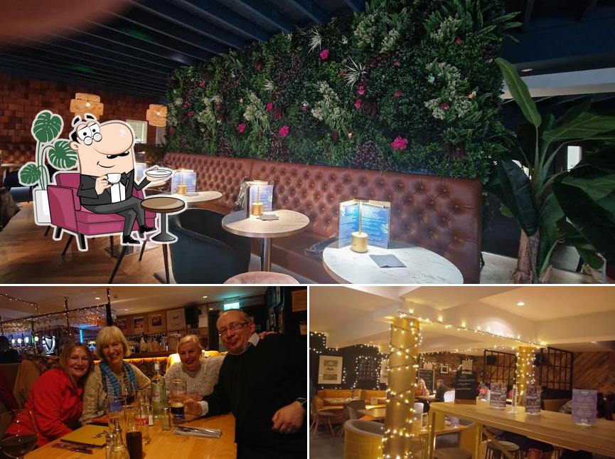 The Ava Winebar, Bangor - Restaurant menu, prices and reviews