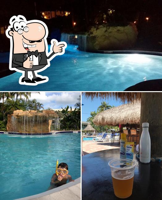 Best pubs & bars in Key Largo, spring 2024 - Restaurant Guru