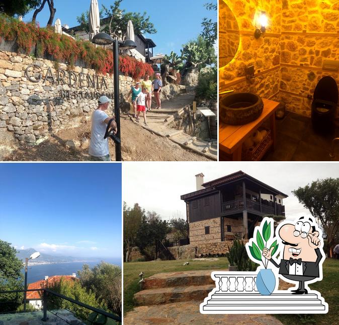 Gardenia Restaurant, Alanya - Restaurant menu, prices and reviews