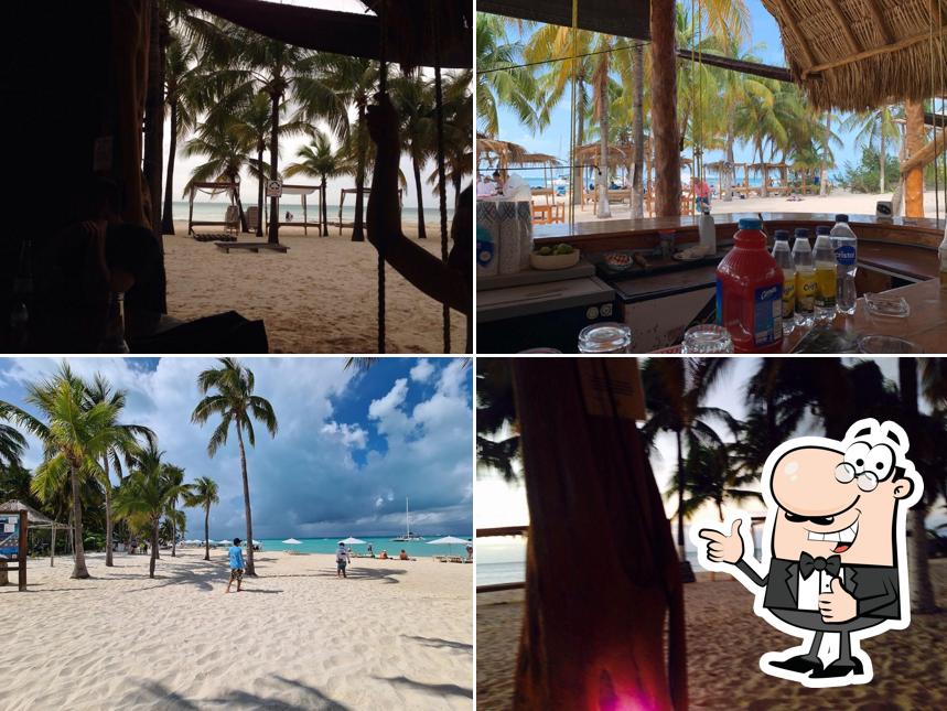 Buho’s Beach Bar & Restaurant, Isla Mujeres - Restaurant reviews