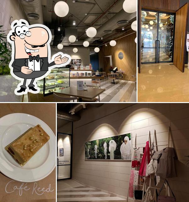 Cafe Reed, Gurugram - Restaurant menu, prices and reviews