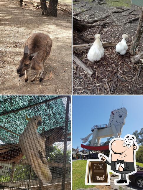 The Toy Factory in Gumeracha - Restaurant reviews