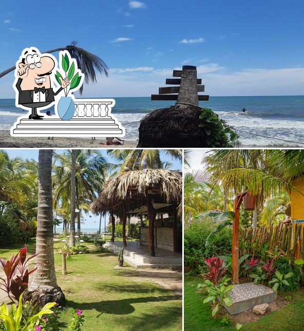 La ola restaurante bar, Palomino - Restaurant reviews