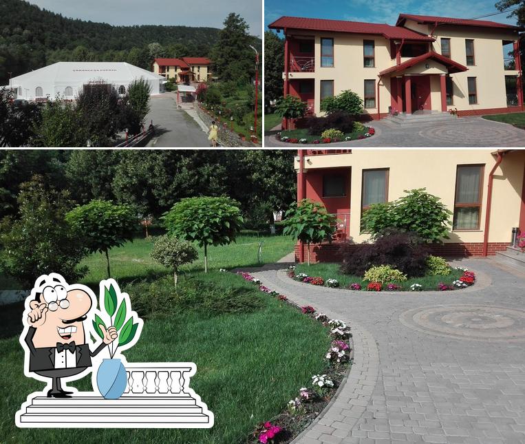 Restaurant Țărăncuța, Turcesti - Restaurant reviews