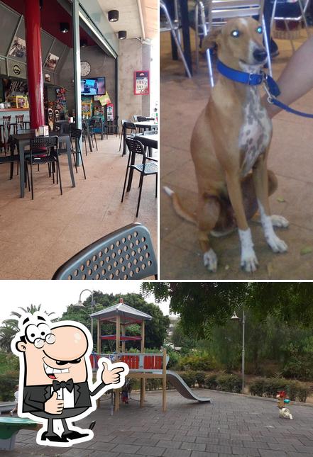 La Sortija in Puerto de la Cruz - Restaurant reviews