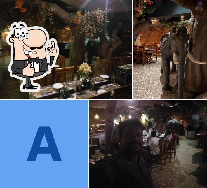 Amazon Jungles Restaurant - Theme Restaurant in OMR Perungudi, Chennai ...