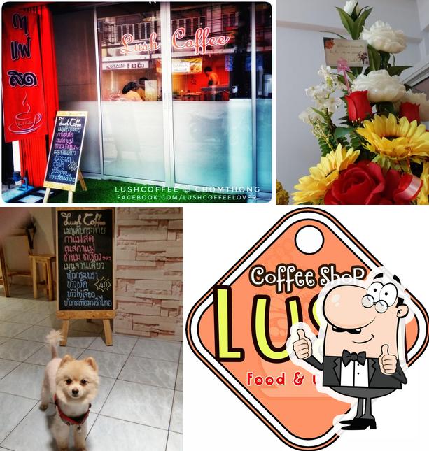 Lush Coffee Shop cafe, Bangkok - Restaurant reviews