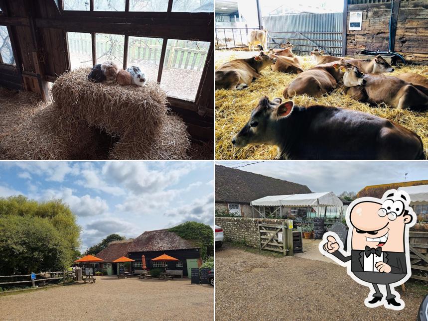 Middle Farm in West Firle - Restaurant reviews