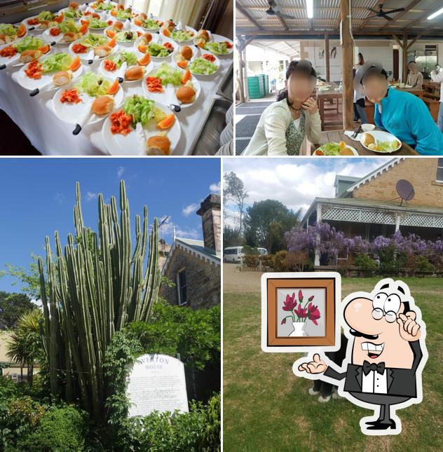 Everton House, Faulconbridge - Restaurant menu, prices and reviews