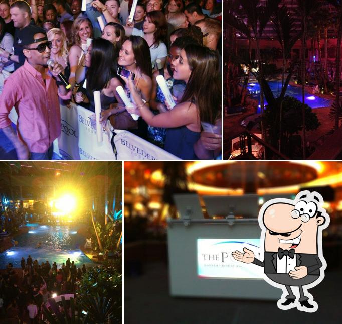 The Pool After Dark in Atlantic City - Restaurant menu and reviews