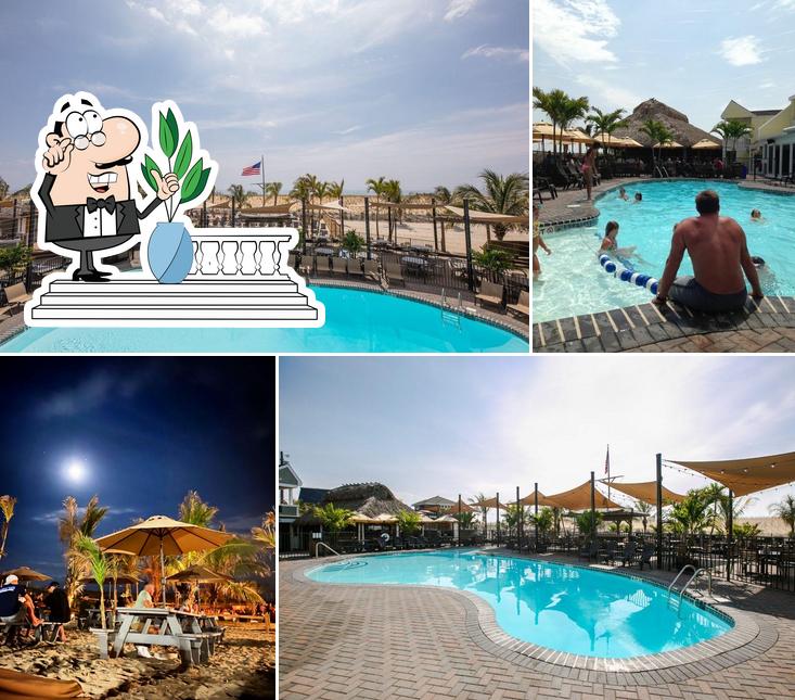 Sea Shell Resort and Beach Club in Beach Haven - Restaurant reviews
