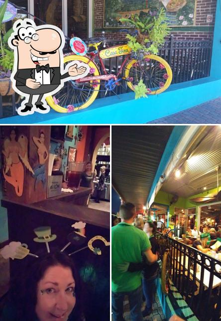 Casa Tina "Fresh, Healthy, Authentic Mexican" in Dunedin - Restaurant ...