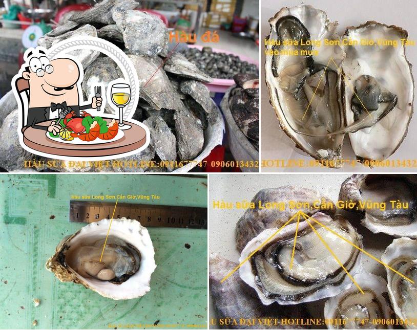 Cung Cấp Hàu Sữa Tươi Ngon-Bán Hào Sữa Giá Rẻ, Ho Chi Minh City ...