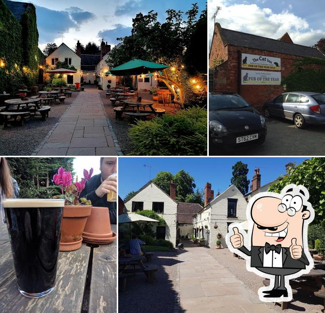 The Cat Inn, Enville - Restaurant menu, prices and reviews