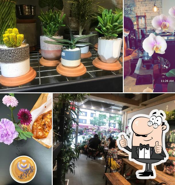 Remi Flower & Coffee, 906 2nd Ave in West New York - Restaurant reviews