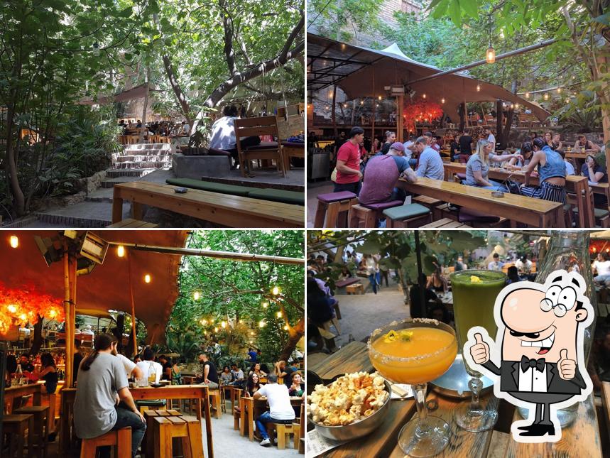 six d.o.g.s, Athens - Restaurant menu and reviews