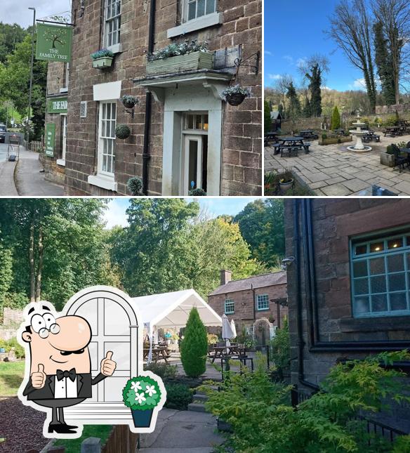 The Family Tree, Crich - Restaurant menu, prices and reviews