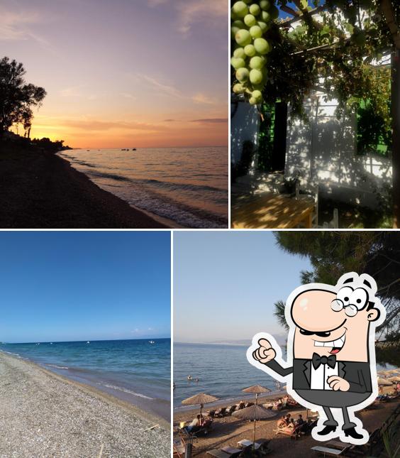 All places to eat and drink in Kaminia, winter 2023 - Restaurant Guru