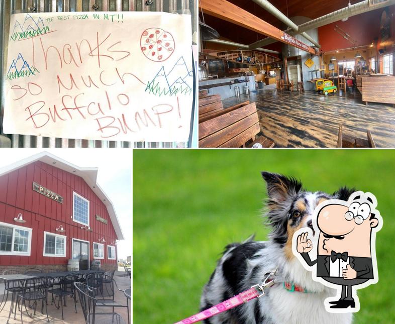 Buffalo Bump in Four Corners - Restaurant menu and reviews
