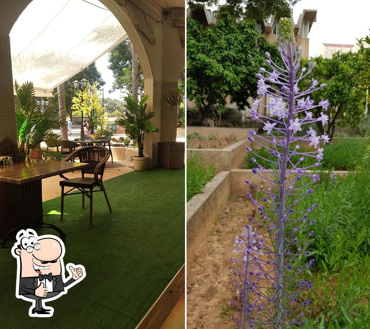 Costa Nova coffee cafe, Kfar Saba - Restaurantbewertungen