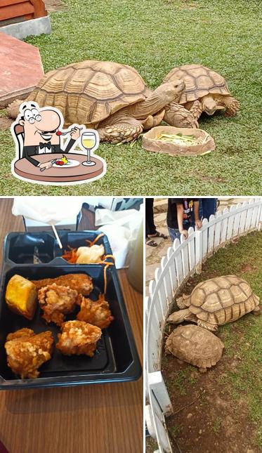 Cimory Dairyland Farm Theme Park Puncak, Indonesia - Restaurant reviews