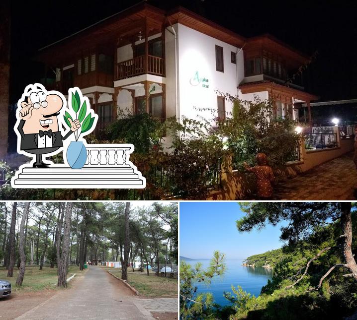 Akyaka Forest Camp, Akyaka Belediyesi