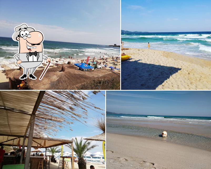 Best clubs in Primorsko, summer 2024 - Restaurant Guru