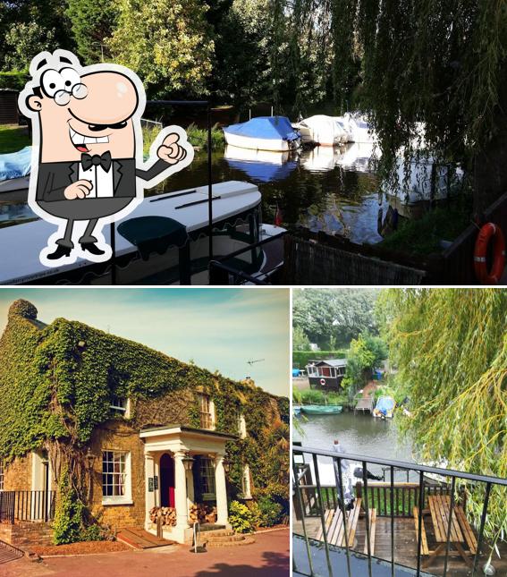 Grove Ferry Inn in Littlebourne - Restaurant menu and reviews