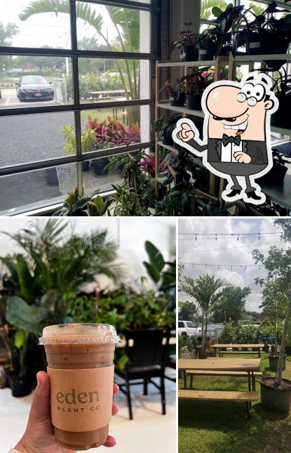 Eden Plant Co., Houston - Restaurant menu, prices and reviews