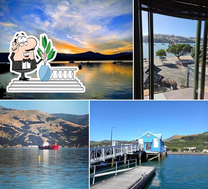 The Wharf - Akaroa in Akaroa - Restaurant reviews