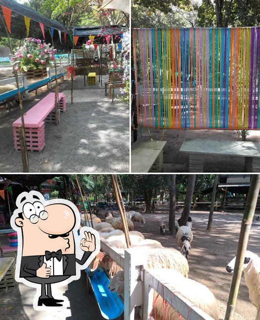 little sheep cafe, Huai Phai, ถ้ำเขาบิน - Restaurant reviews