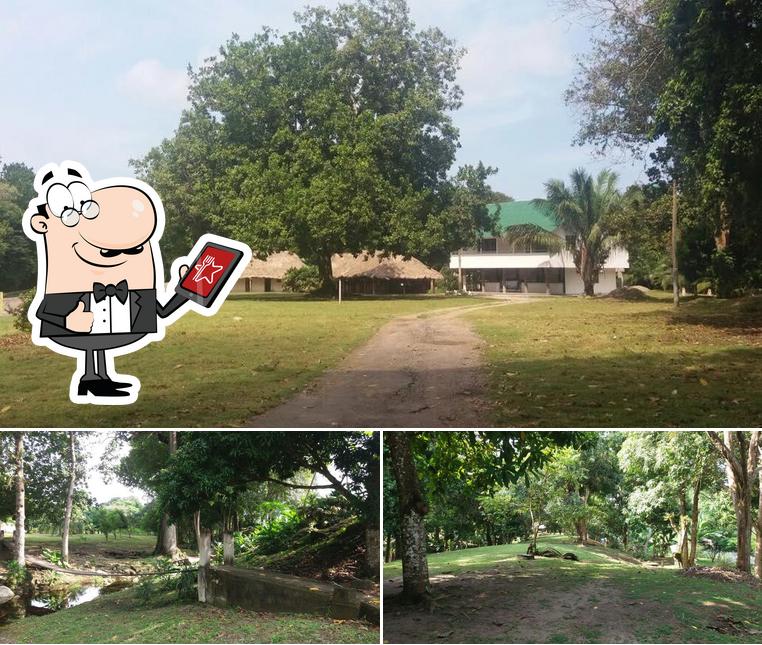Balneario El Bosque, Colombia - Restaurant reviews