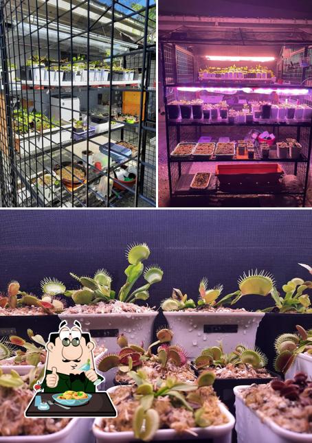 Carnivorous Cafe, Tagum City - Restaurant reviews