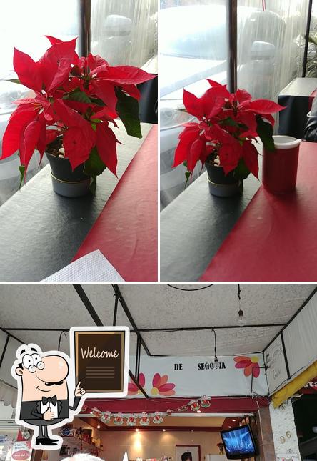 El sabor de segovia - Restaurant menu, prices and reviews